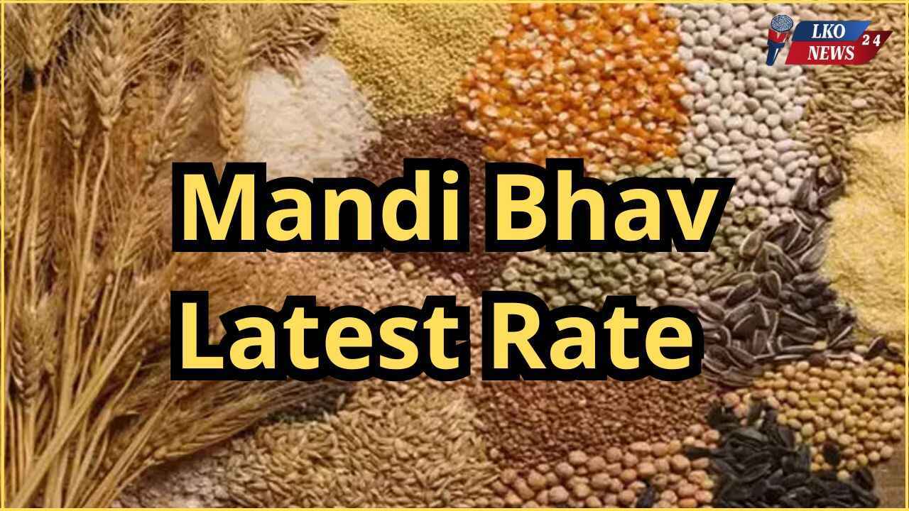 Mandi Bhav Rate 26 February 2025: तुअर और मूंग के दामों में आई गिरावट ...