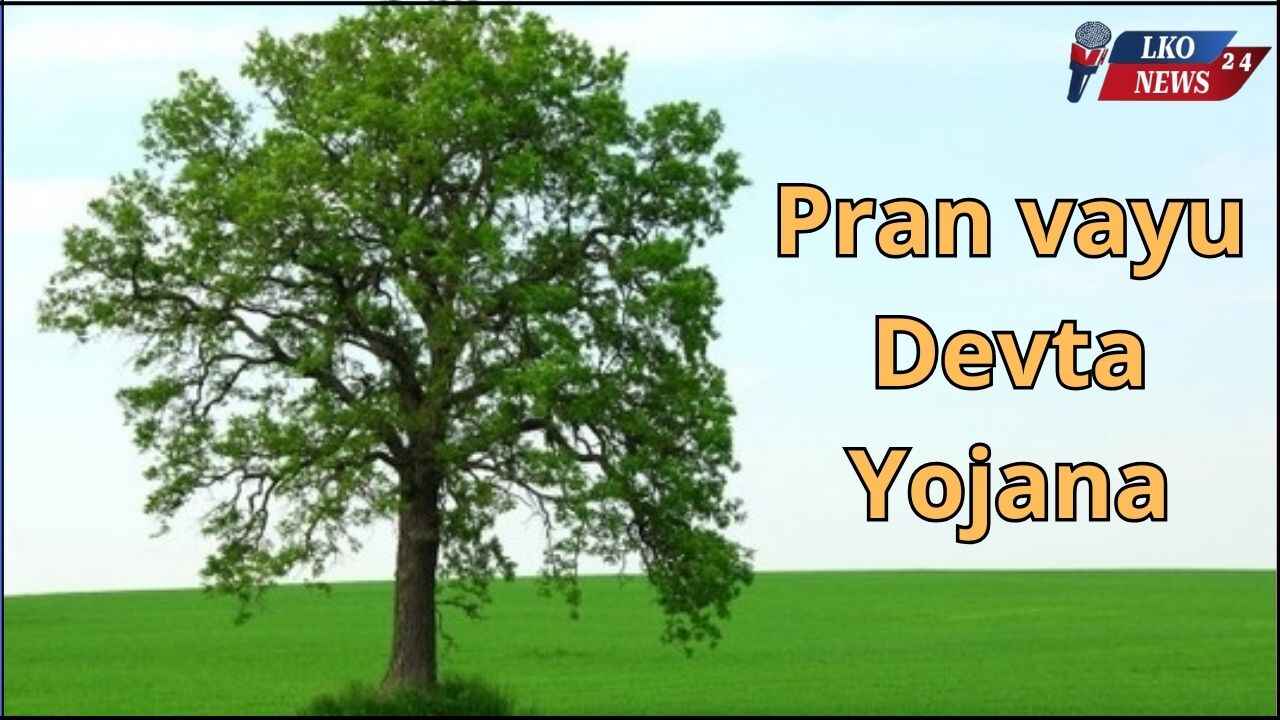 Pran vayu Devta Yojana: पेड़ों के देखभाल करने वाले लोगों को 2500 रुपए ...