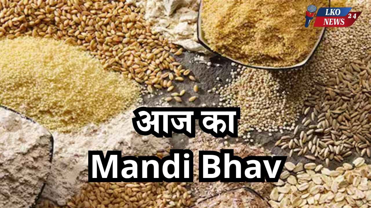 Mandi Bhav 9 March 2025: देसी चना की कीमतों में जबरदस्त तेजी, मूंग के ...