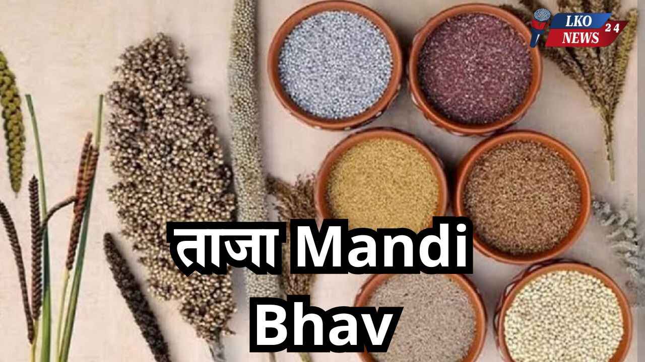 Mandi Bhav Rate 13 March 2025: देसी और डॉलर चना की कीमतों में आई भयंकर ...