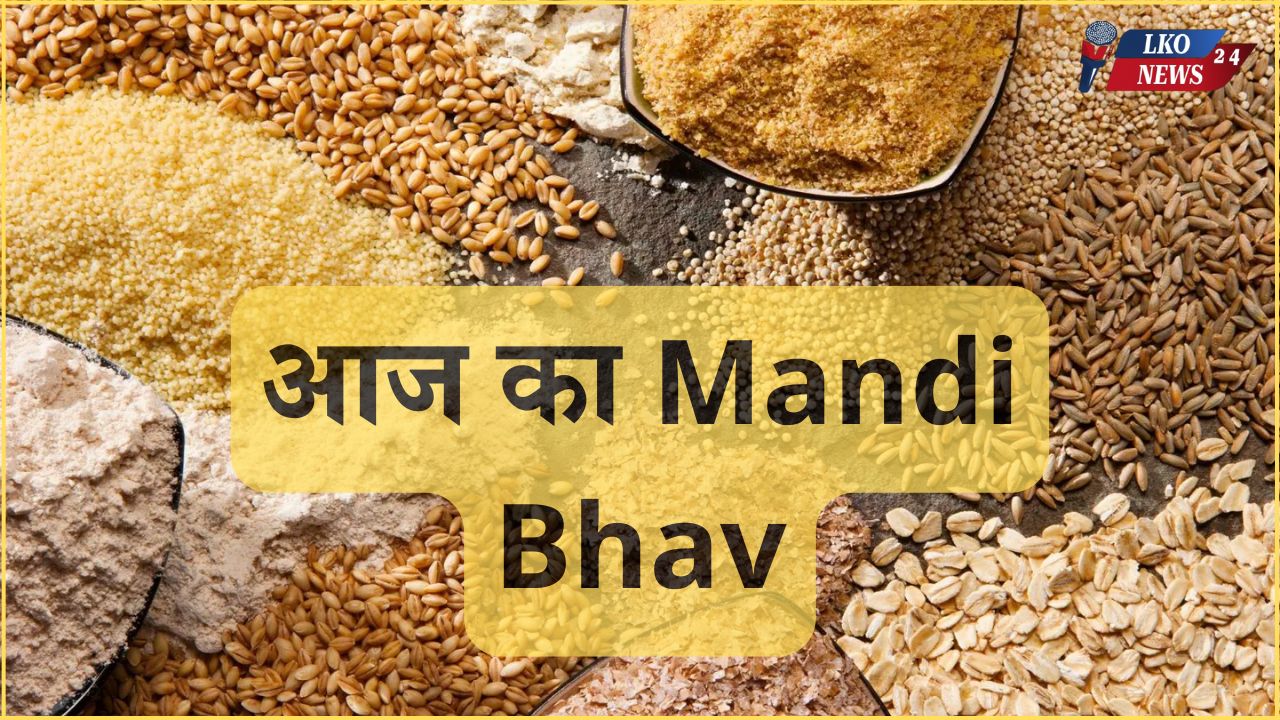 Mandi Bhav Rate 15 March 2025: गेहूं और सोयाबीन के दाम में जबरदस्त उछाल, जानिए आज का ताजा मंडी ...