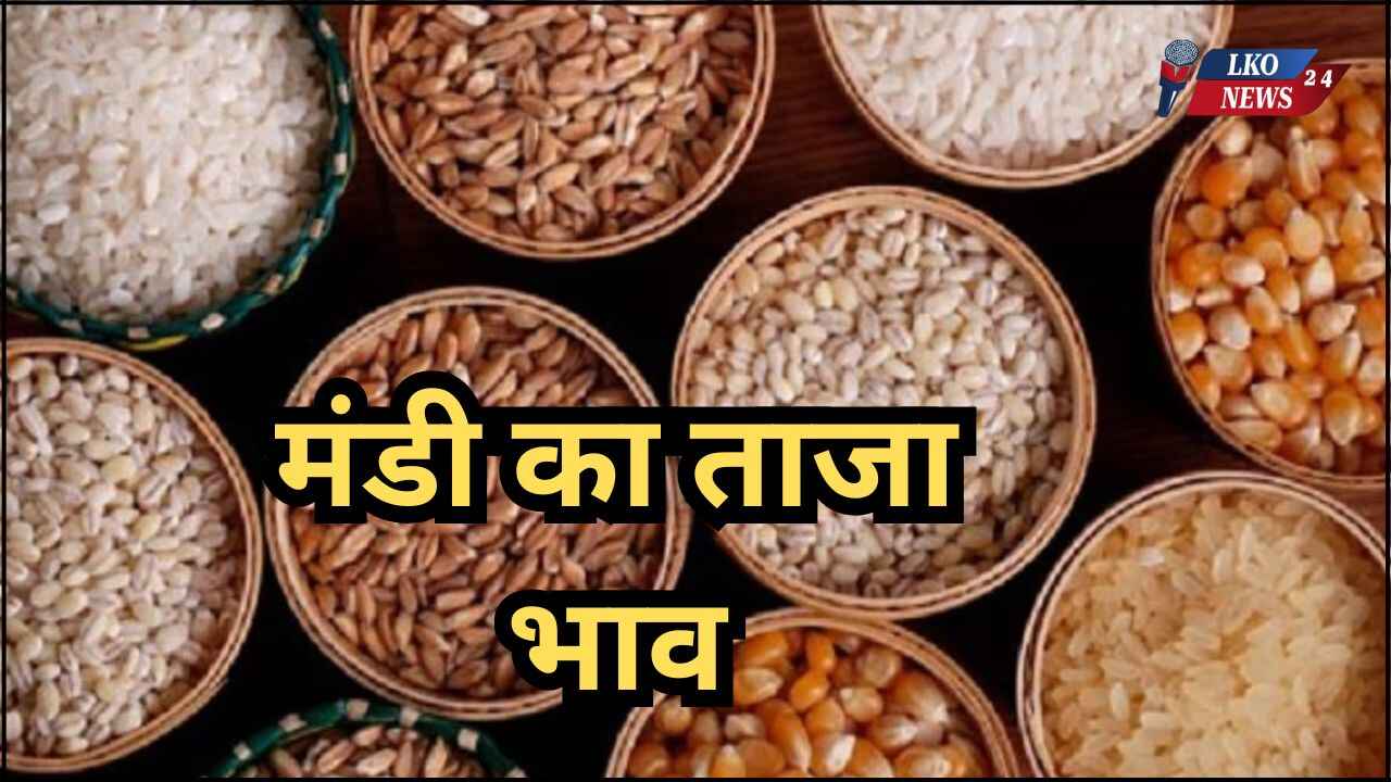 Mandi Bhav Rate 5 March 2025: देसी चना के दाम में आई बढ़ोत्तरी, जानिए ...